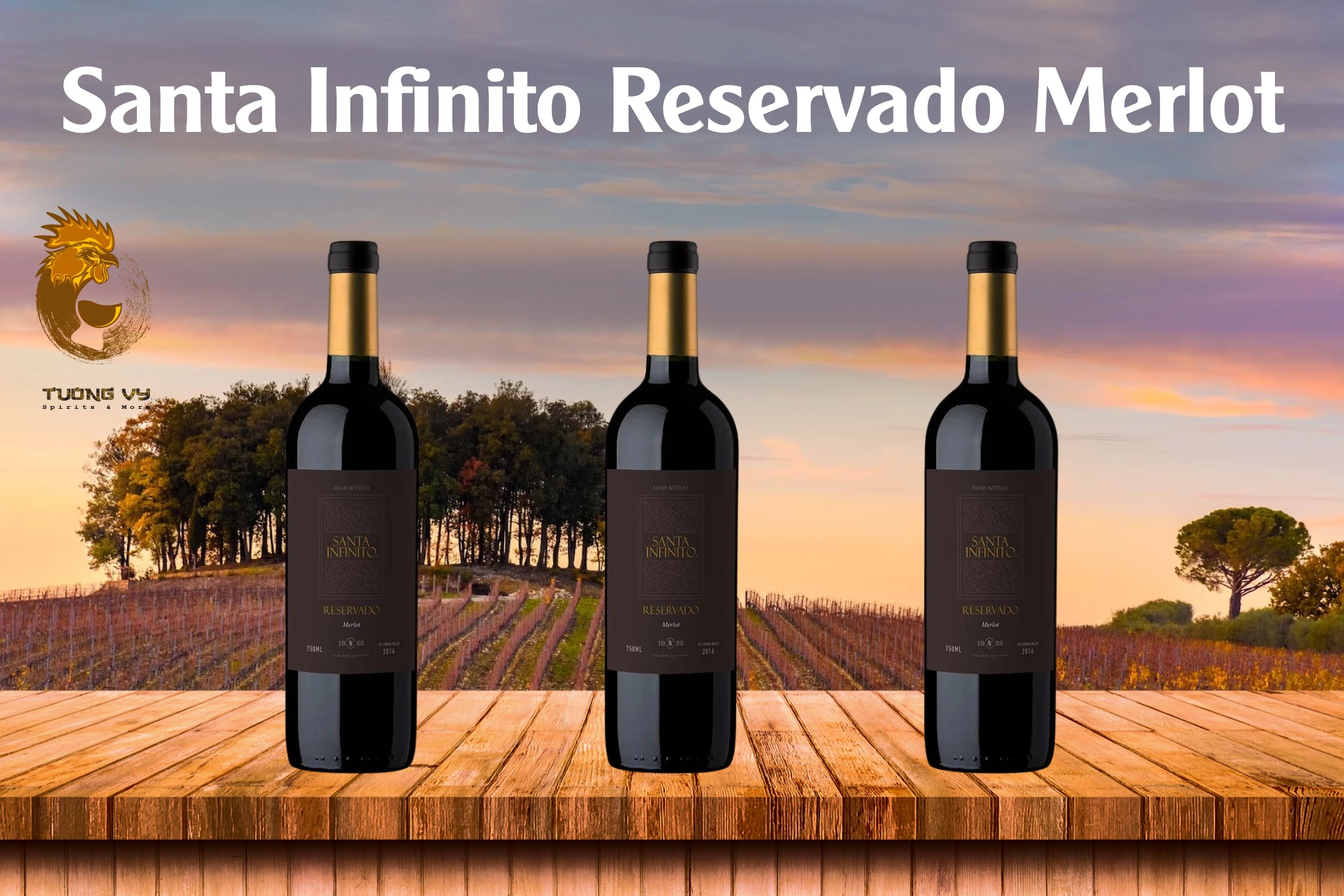 Rượu vang đỏ Chile Santa Infinito Reservado Merlot