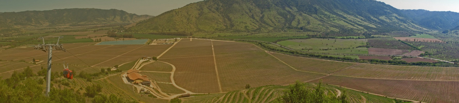 Vùng nho Central Valley của Chile